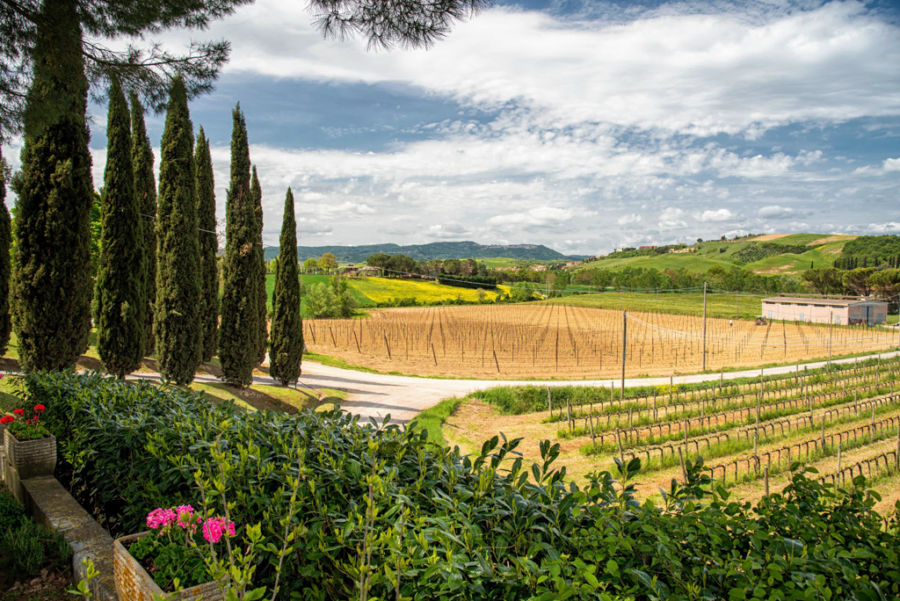 Experience Tuscany: Have a “Zero-Kilometer” Meal on a Farm – Camerons ...